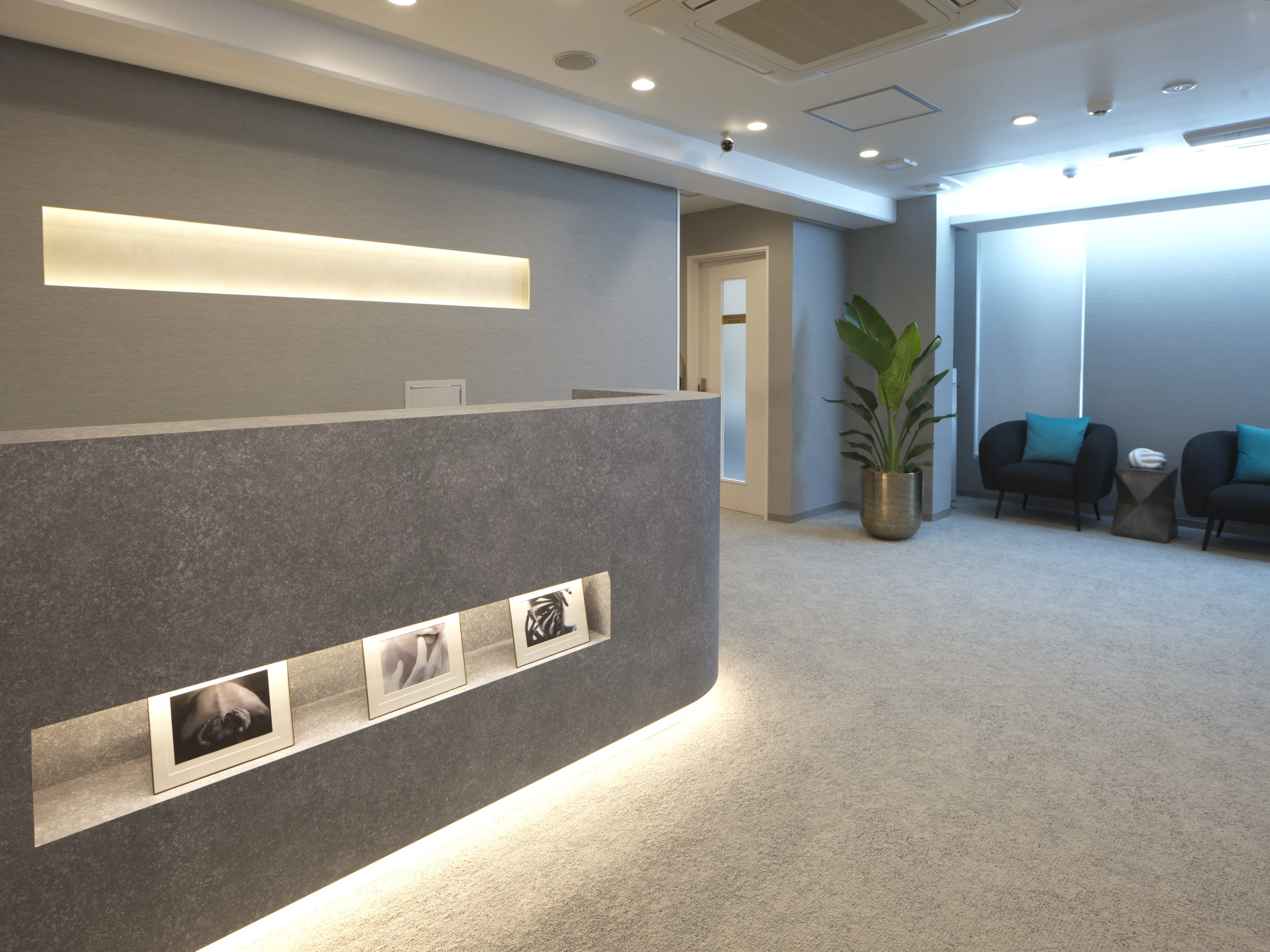 キレイは努力で作れる｜GRACY TOKYO CLINIC｜Monita（モニタ）